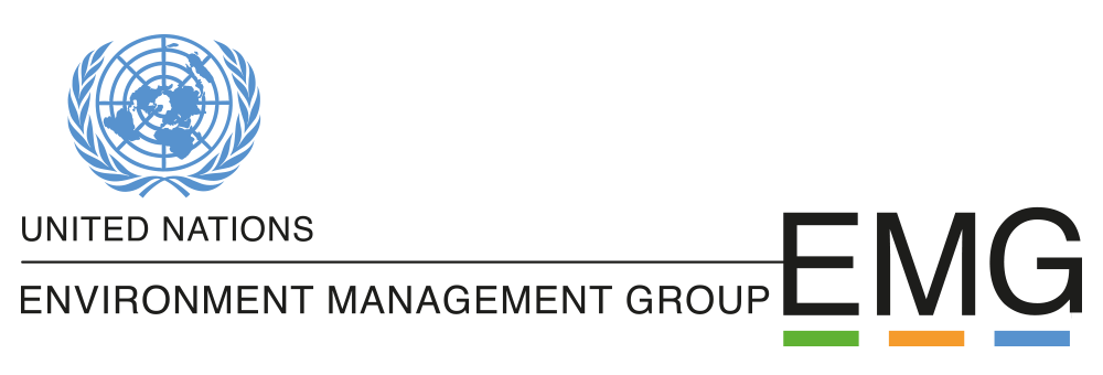 Maximising EMG Effectiveness – UN Environment Management Group