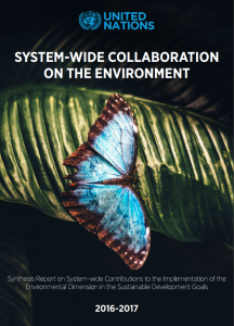 UN Environment Management Group – The UN working together for the ...