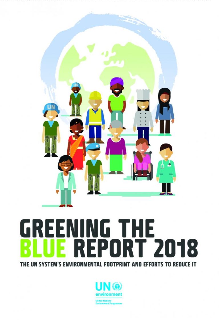 Publications – UN Environment Management Group
