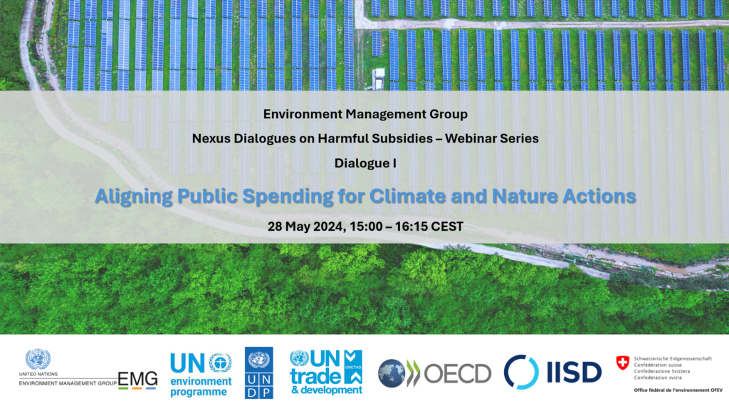 Nexus Dialogues on Repurposing Harmful Subsidies – UN Environment Management Group