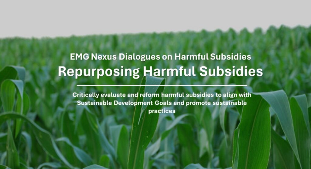 Nexus Dialogues on Repurposing Harmful Subsidies – UN Environment Management Group