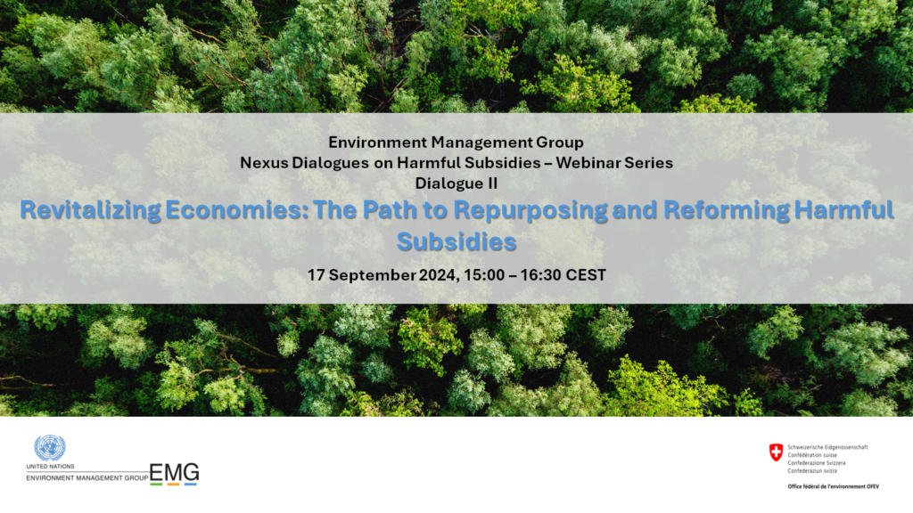 Nexus Dialogues on Repurposing Harmful Subsidies – UN Environment ...